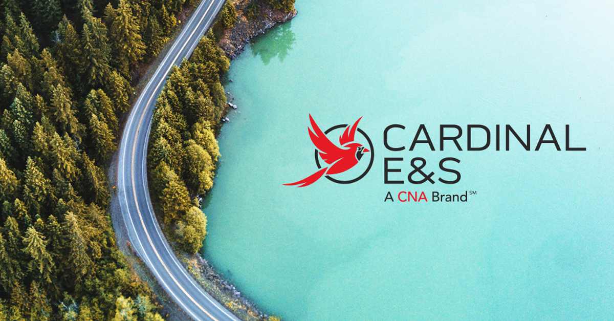 Insights | Cardinal E&S